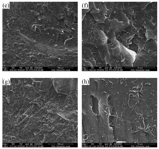 Recycled Tire Fibers Used as Reinforcement for Recycled Polyethylene ...