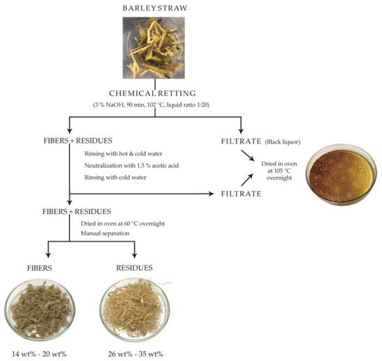 Barley Straw Fiber Extraction in the Context of a Circular Economy