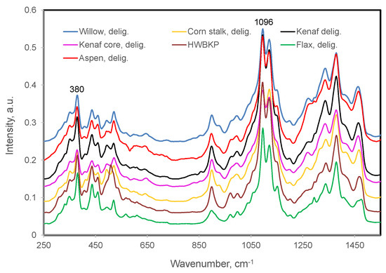 Raman Spectra of Delignified Plant Fibers: Exploring the Impact of ...