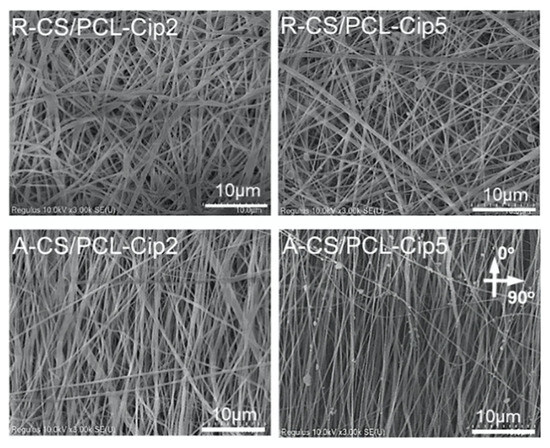Developments of Core/Shell Chitosan-Based Nanofibers by Electrospinning ...