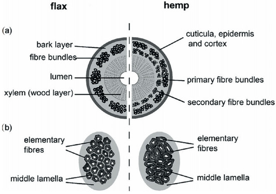 Retting of Bast Fiber Crops Like Hemp and Flax—A Review for ...
