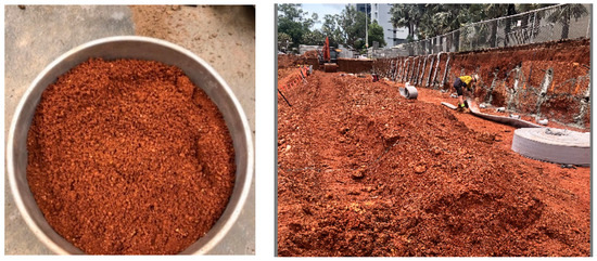 Flora Jessop 60 Minutes 1986