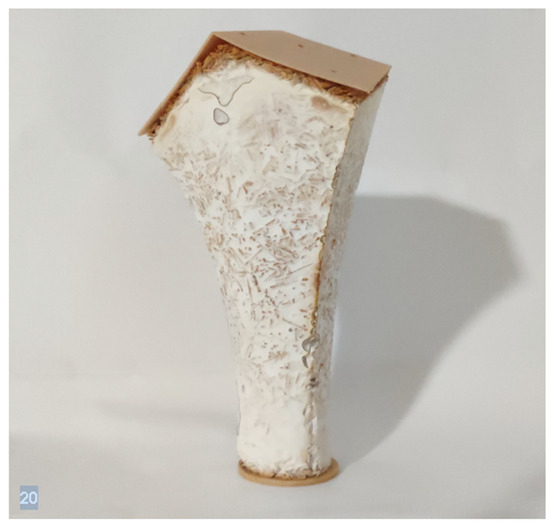 Natural Fiber-Reinforced Mycelium Composite for Innovative and ...
