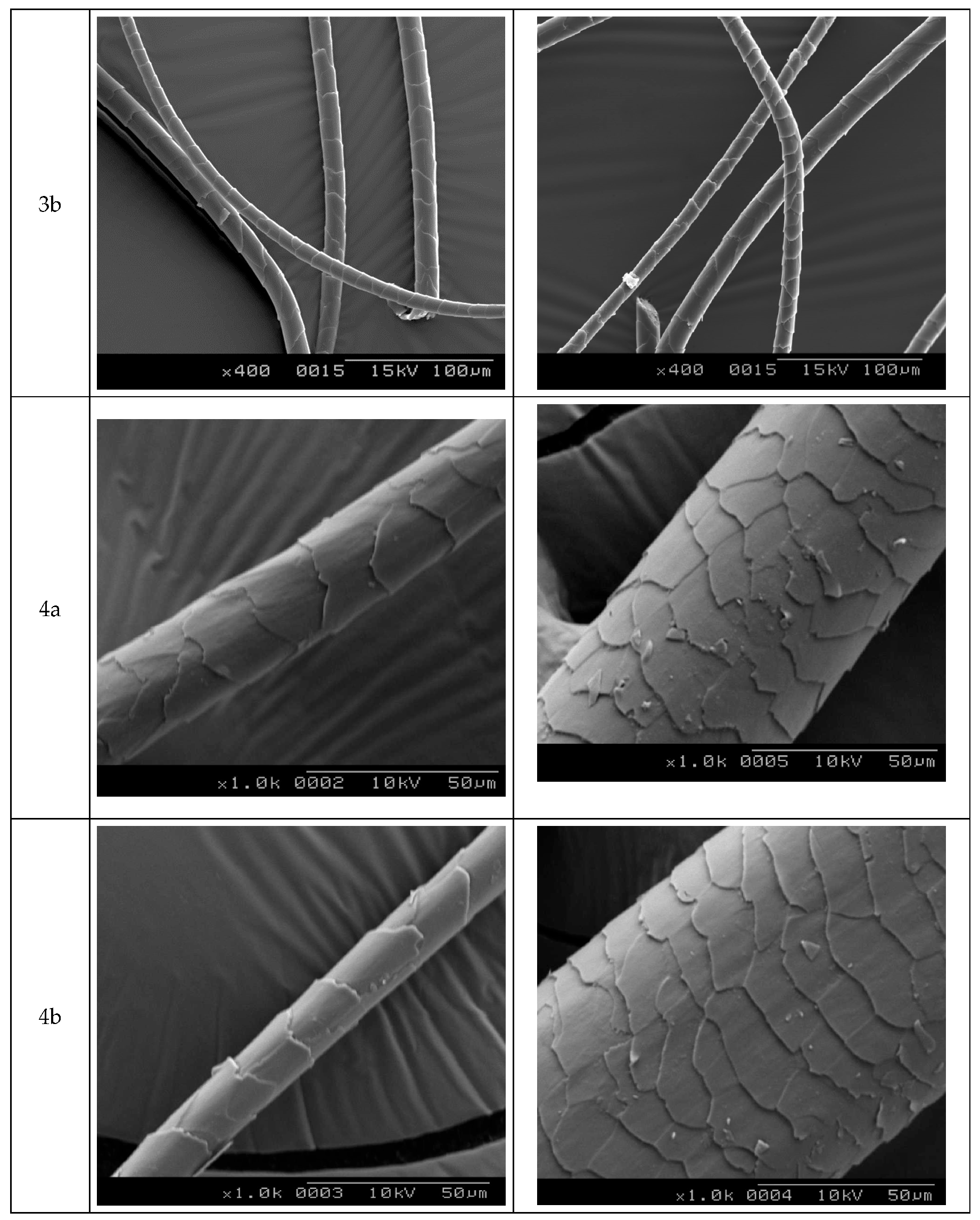 Influence of Genetic and Non-Genetic Factors on the Physical and ...