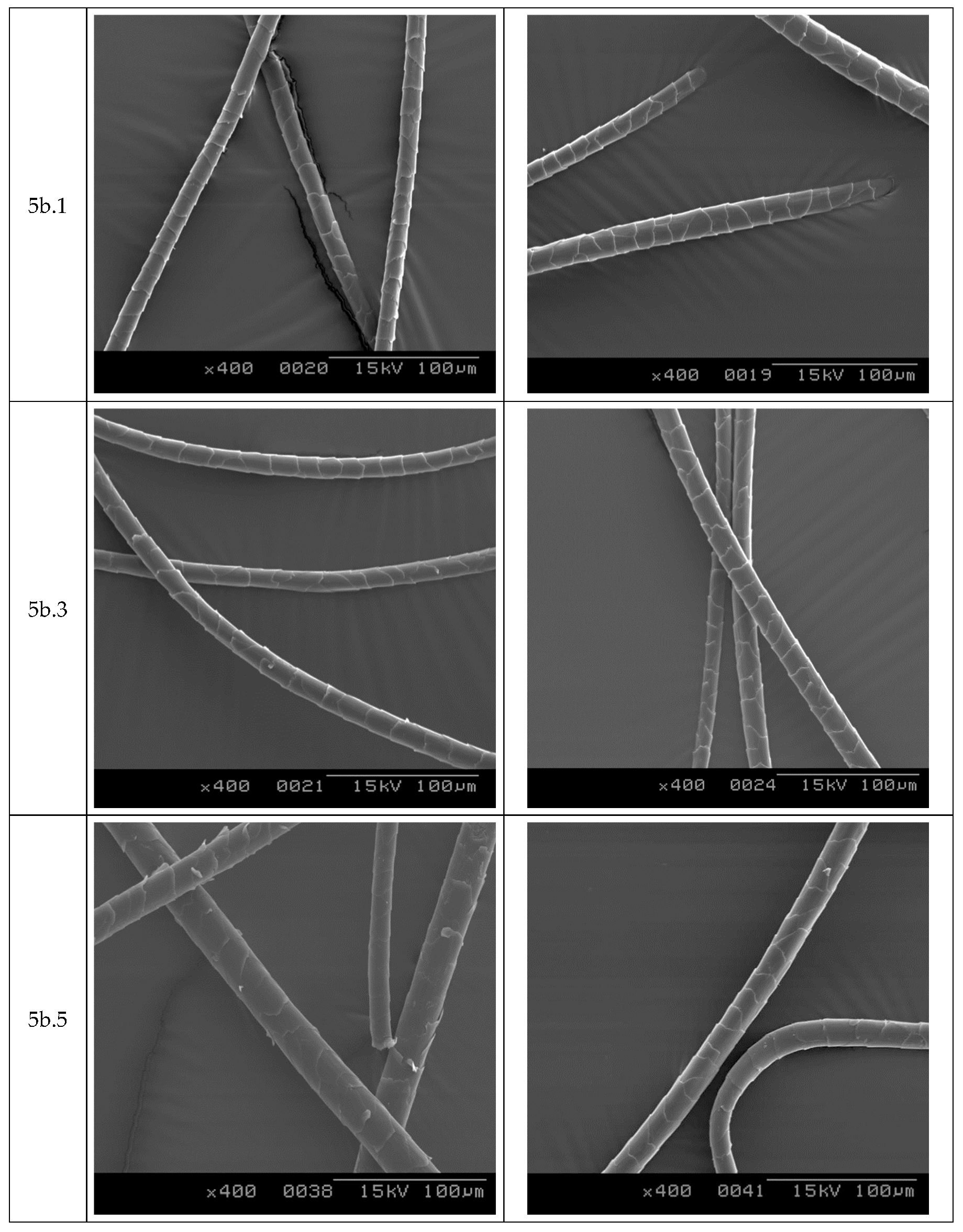 Influence of Genetic and Non-Genetic Factors on the Physical and ...