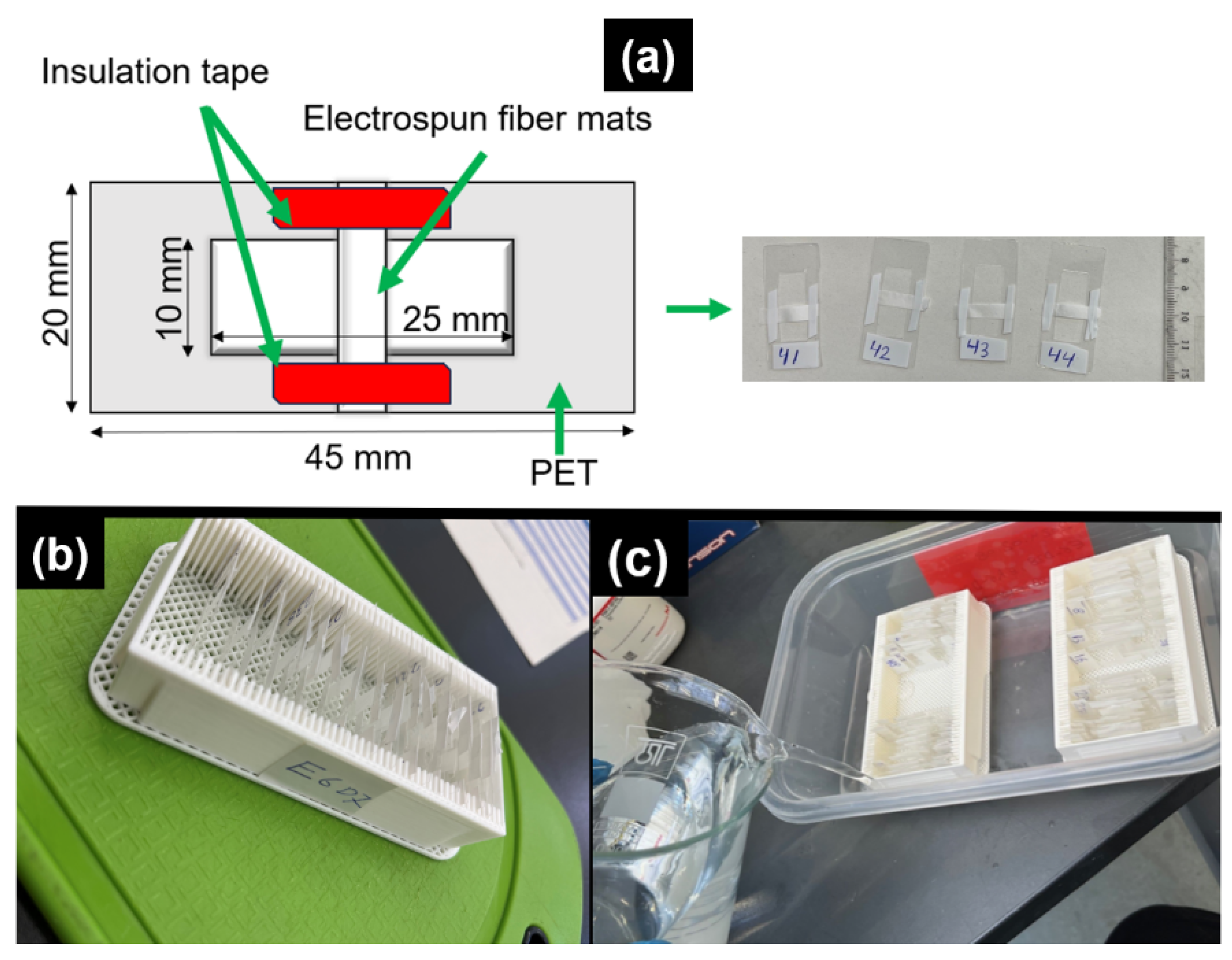 The Influence of In Vitro Degradation on the Properties of Polylactic ...