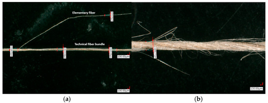 Physical and Mechanical Characterization of Flax Fibers: From ...