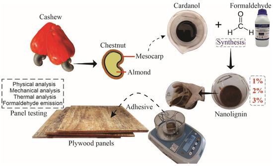 Quality of Plywood Bonded with Nanolignin-Enriched Cardanol ...