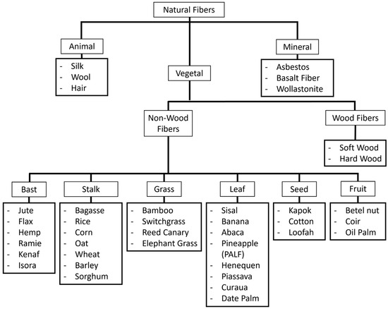 A Review of Natural Fibers: Classification, Composition, Extraction ...