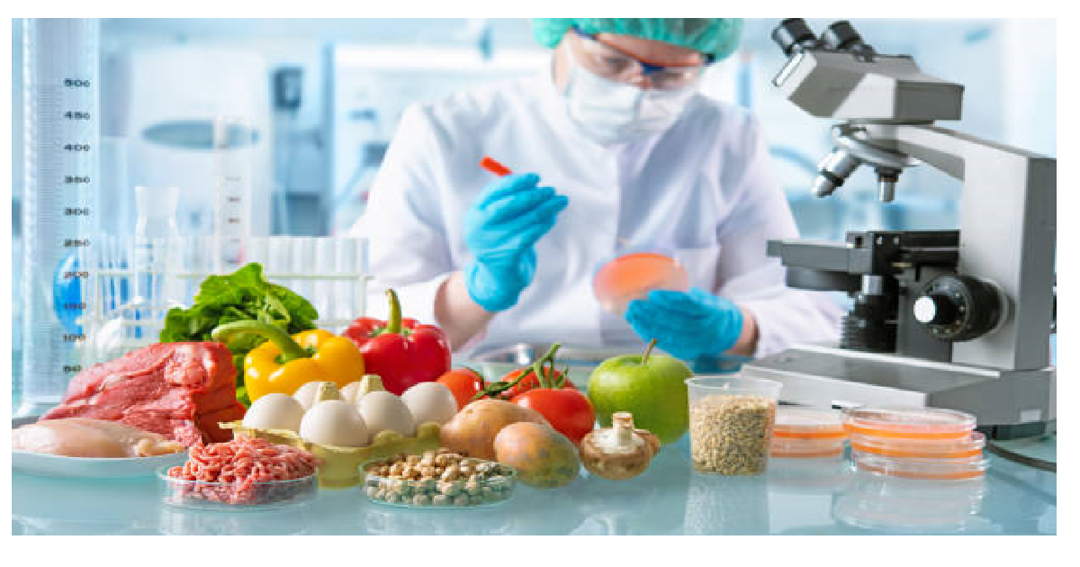 Food Hygiene and Food Safety