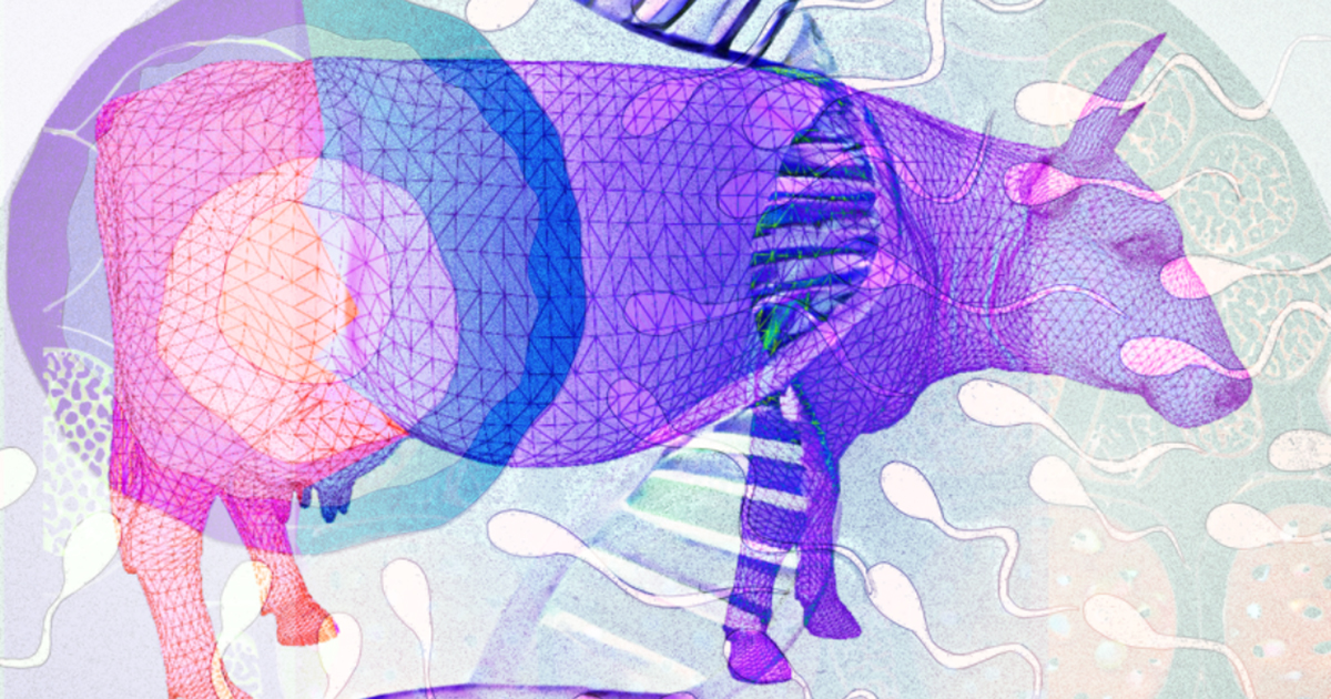 Application of Reproductive and Genomic Biotechnologies for Livestock ...