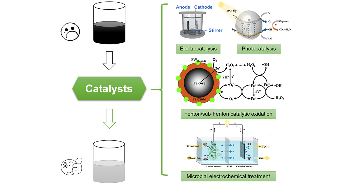 Catalysts | Special Issues