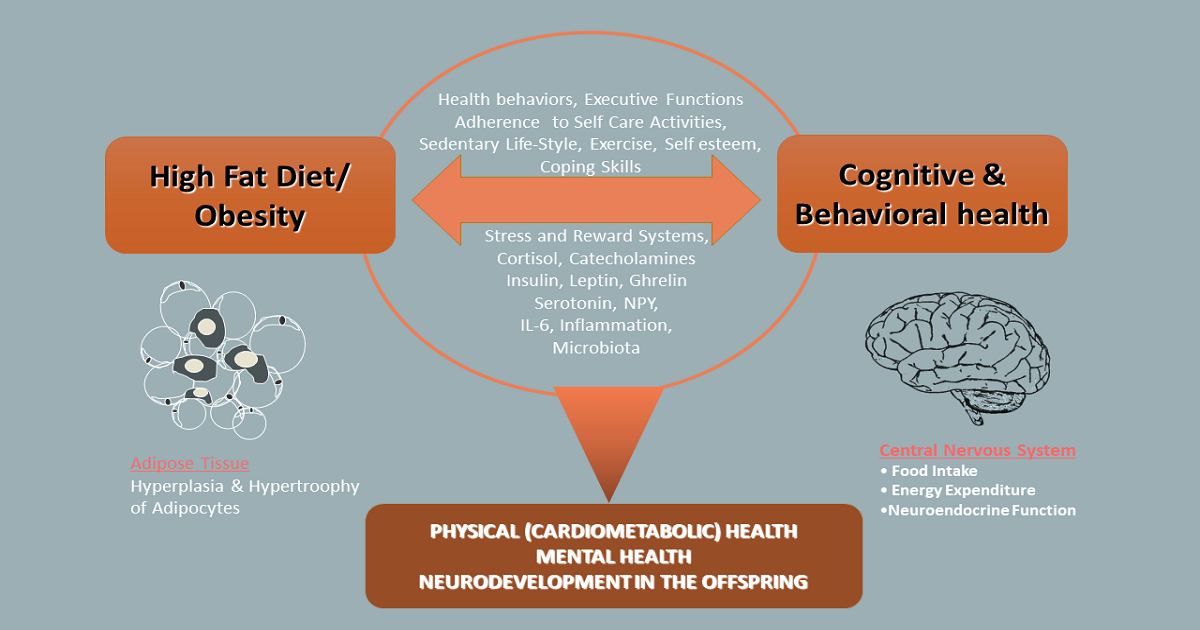 Nutrients | Special Issue : High Fat Diet, Obesity and Their Relations ...