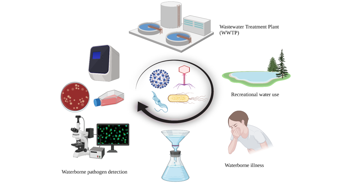 Pathogens | Special Issue : Waterborne Pathogens and Their Surrogates ...