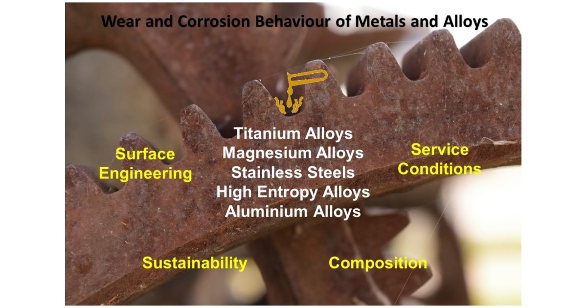 Lubricants | Special Issues