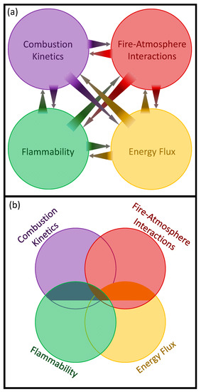 Embracing Complexity to Advance the Science of Wildland Fire Behavior