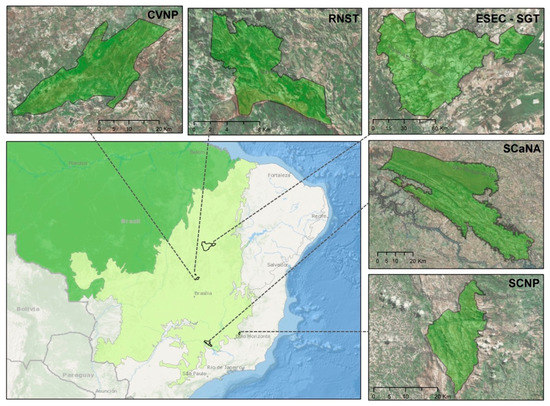 The Year 2017: Megafires and Management in the Cerrado