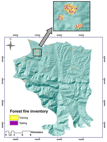 Forest Fire Susceptibility and Risk Mapping Using Social ...