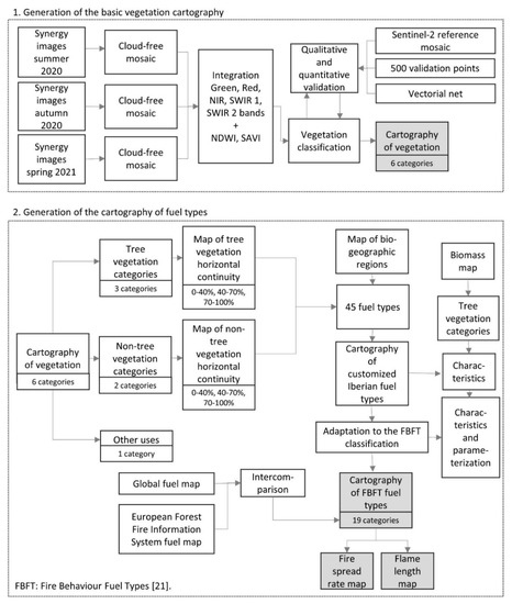 Generation and Mapping of Fuel Types for Fire Risk Assessment