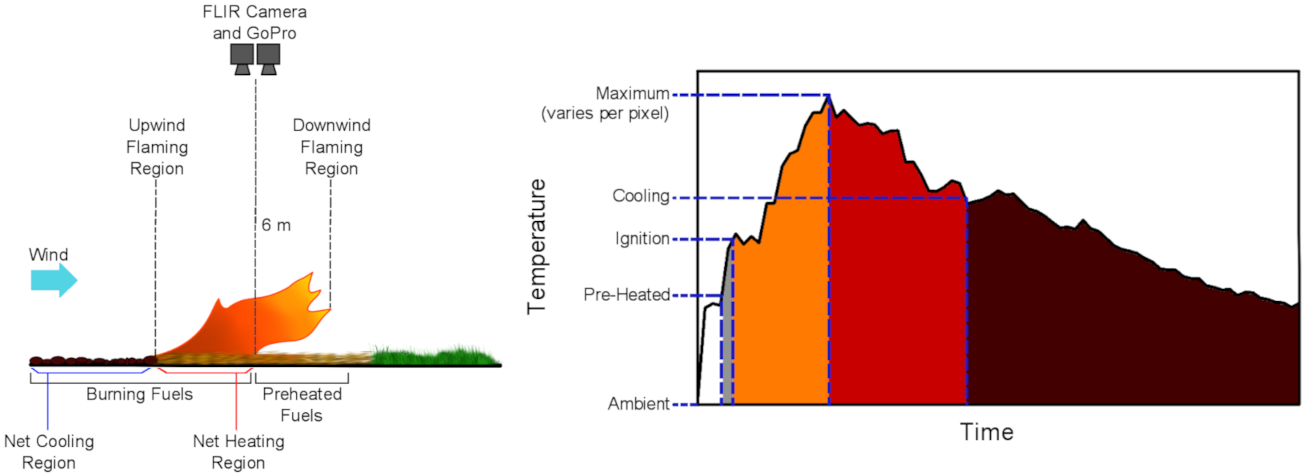 Fine-Scale Fire Spread in Pine Straw