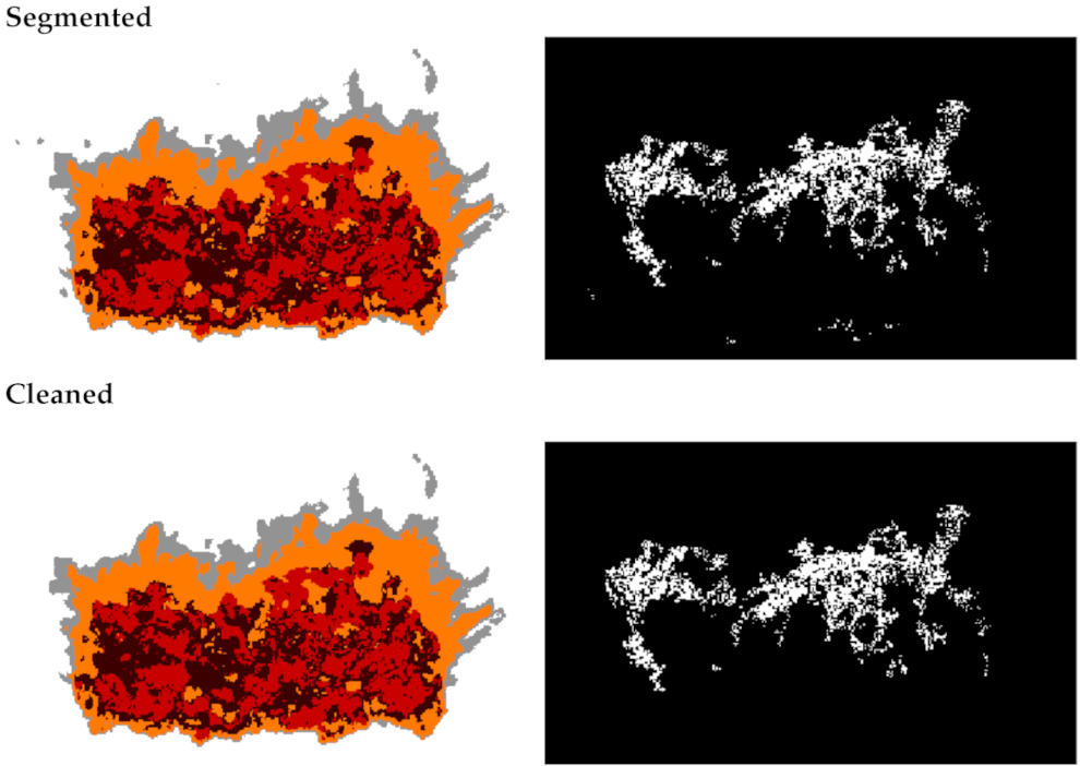 Fine-Scale Fire Spread in Pine Straw