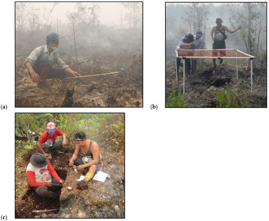 A Field Study of Tropical Peat Fire Behaviour and Associated Carbon ...