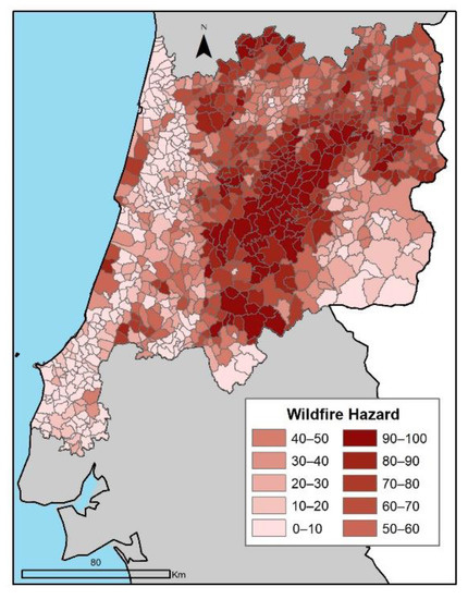 Wildfire Risk Levels at the Local Scale: Assessing the Relative ...