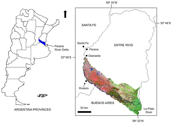 Fire | Free Full-Text | Wetland Fire Assessment and Monitoring in the ...