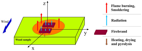 Simulation of the Impact of Firebrands on the Process of the Wood Layer ...