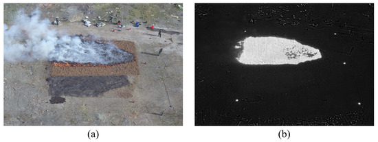 Predicting the Continuous Spatiotemporal State of Ground Fire Based on ...