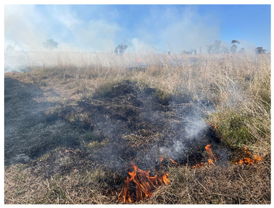 Reconnecting Fire Culture of Aboriginal Communities with Contemporary ...