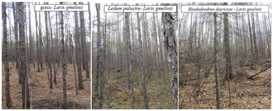 Study on the Limit of Moisture Content of the Sub-Surface Fires ...