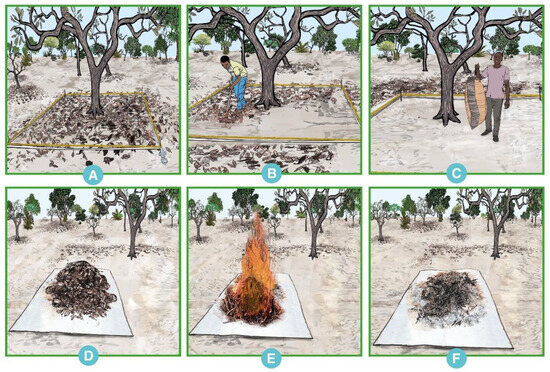 Assessing Carbon Emissions from Biomass Burning in Croplands in Burkina ...
