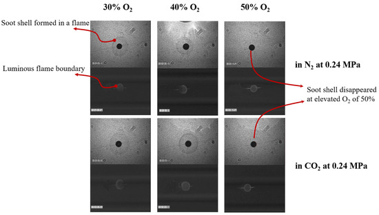 New Insight into the Effects of Gaseous CO2 on Spherically Symmetric ...