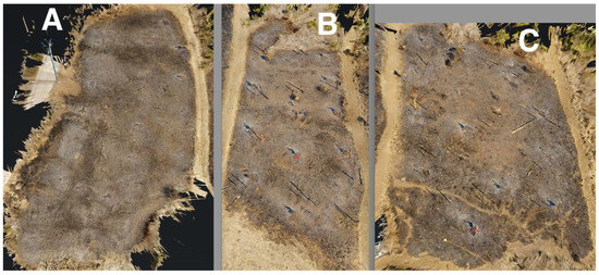 Validation of NWCG Wildfire Directional Indicators in Test Burns in ...
