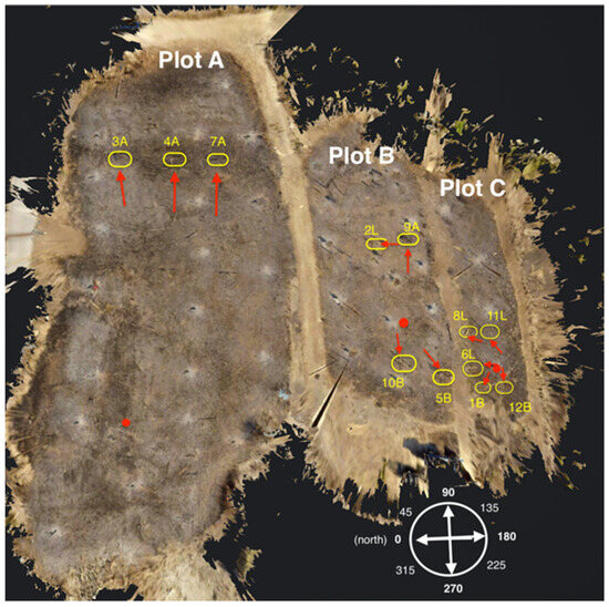 Validation of NWCG Wildfire Directional Indicators in Test Burns in ...