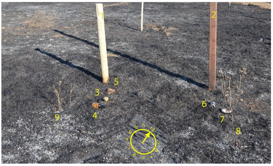Validation of NWCG Wildfire Directional Indicators in Test Burns in ...