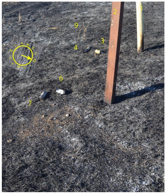 Validation of NWCG Wildfire Directional Indicators in Test Burns in ...