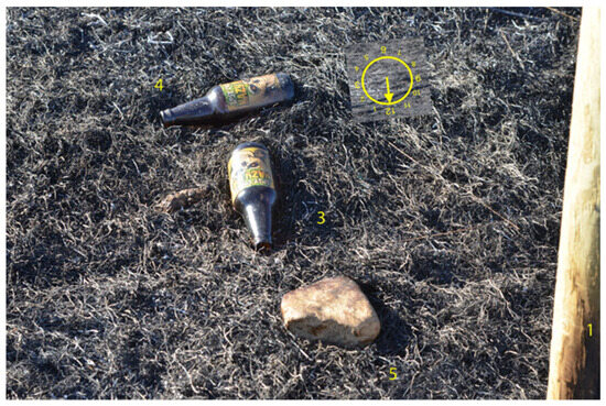 Validation of NWCG Wildfire Directional Indicators in Test Burns in ...