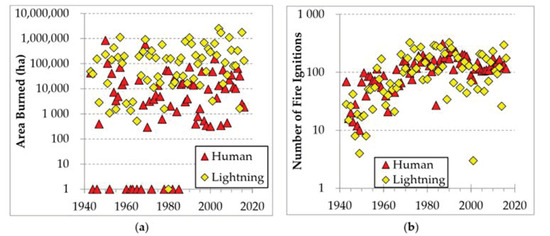 Lightning-Induced Wildfires: An Overview