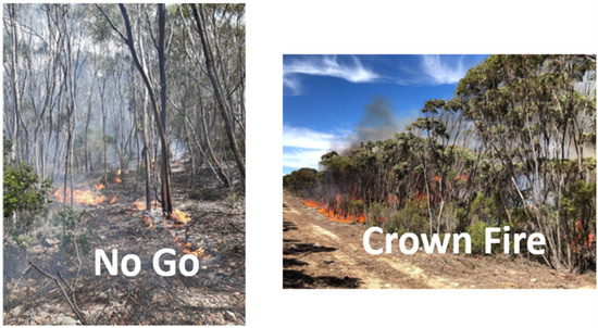 Fuel Drivers of Fire Behaviour in Coastal Mallee Shrublands