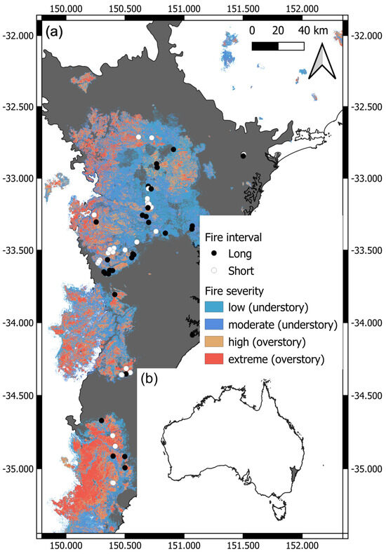 Severe and Short Interval Fires Rearrange Dry Forest Fuel Arrays in ...