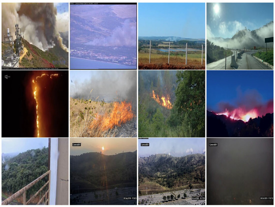 YOLO-Based Models for Smoke and Wildfire Detection in Ground and Aerial ...