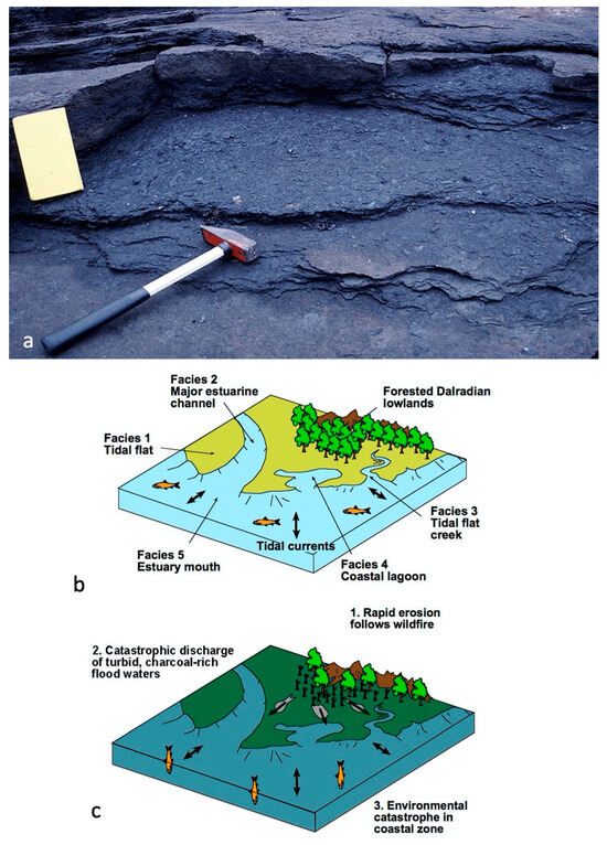 Thirty Years of Progress in Our Understanding of the Nature and ...