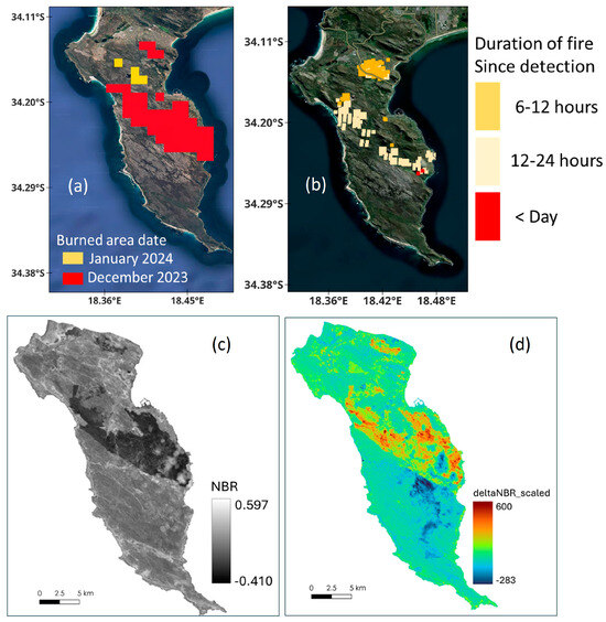 Impacts and Drivers of Summer Wildfires in the Cape Peninsula: A Remote ...