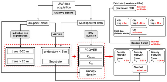 Integrating Physical-Based Models and Structure-from-Motion ...