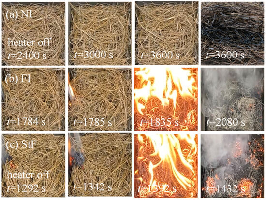 Smoldering Ignition and Transition to Flaming Combustion of Pine Needle ...