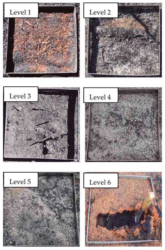 Soil Burn Severity Assessment Using Sentinel-2 and Radiometric Measurements