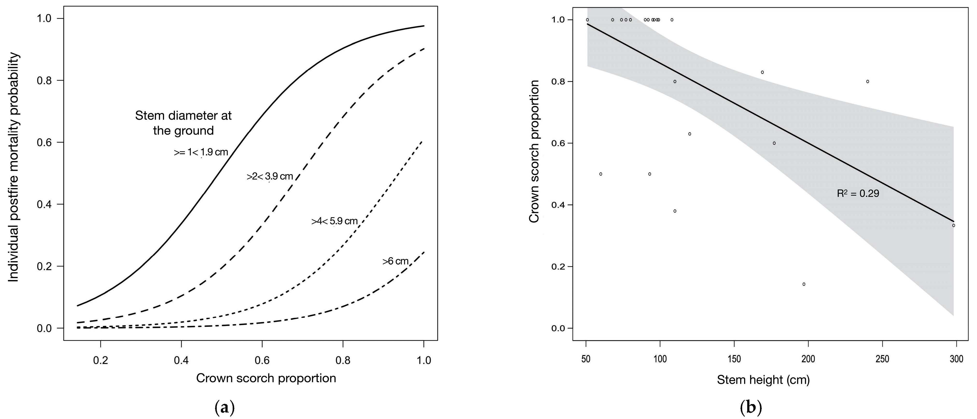 Revealing the Impact of Understory Fires on Stem Survival in Palms ...