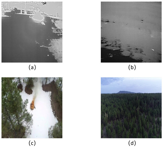 An Improved Unmanned Aerial Vehicle Forest Fire Detection Model Based on YOLOv8